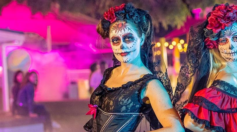 WATCH: Enjoy a festival of culture and colour at Sea World Carnivale!