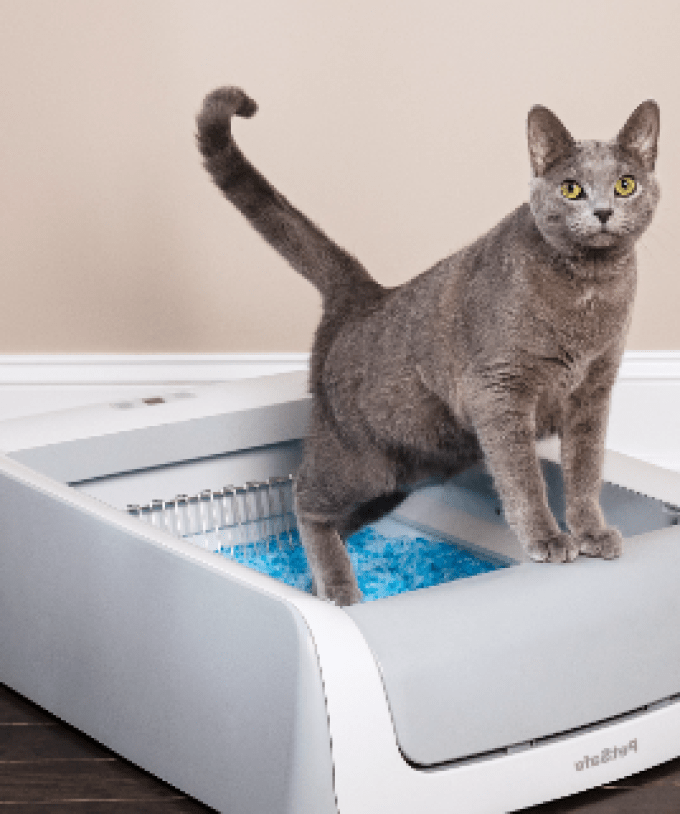 Congratulations to the winners of a ScoopFree® Self-Cleaning Litter Box