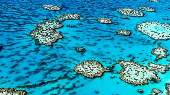 Reef protection gets another $1 billion
