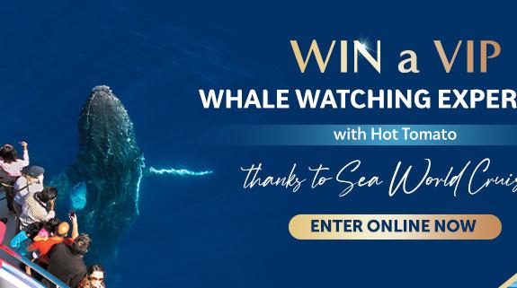 Win a VIP Whale Watching Experience with 1029 Hot Tomato
