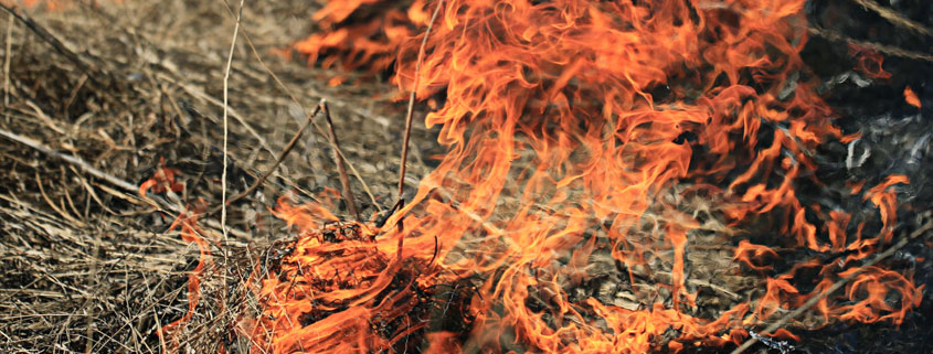 Fire crews battling 'fast moving' grass fire on northern Gold Coast