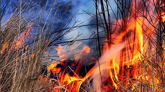 Raging grass fire brought under control