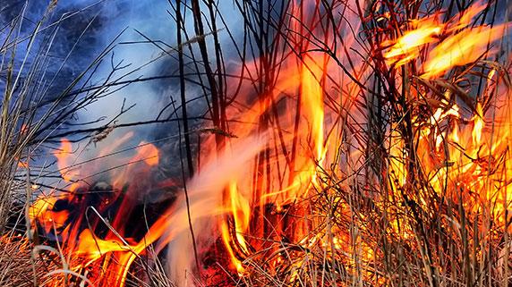 Smoke advice warning for northern Gold Coast after large bushfire erupts