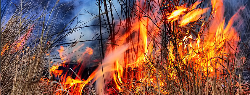 Smoke advice warning for northern Gold Coast after large bushfire erupts