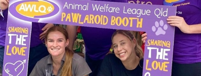 PHOTOS: 1029ers at AWL Queensland Rehoming Centre