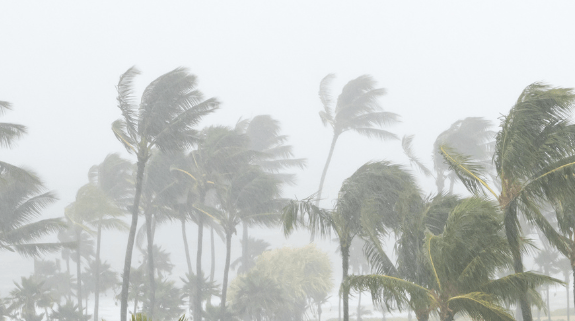 Tropical Cyclone Gabrielle formed off the Queensland coast