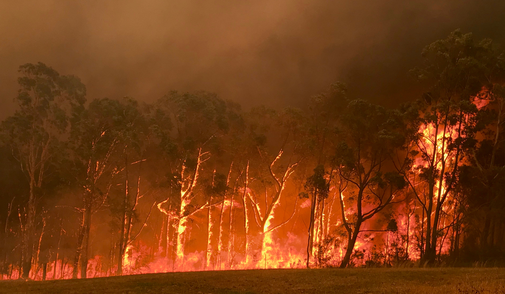 Week-long fire ban imposed across SE Qld amid hot, dry conditions
