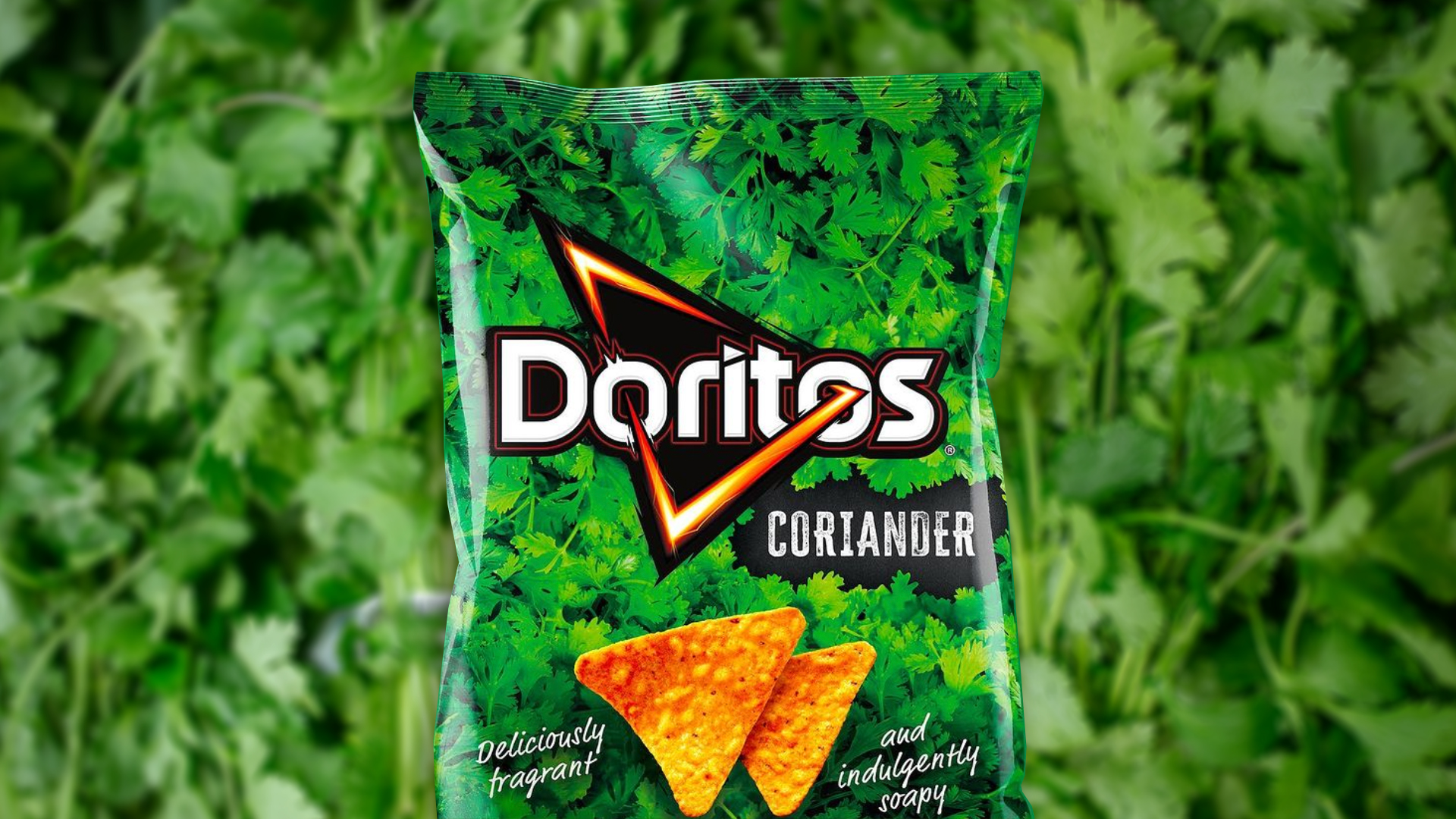 Doritos Have Just Dropped Coriander-Flavoured Corn Chips And We Can ...