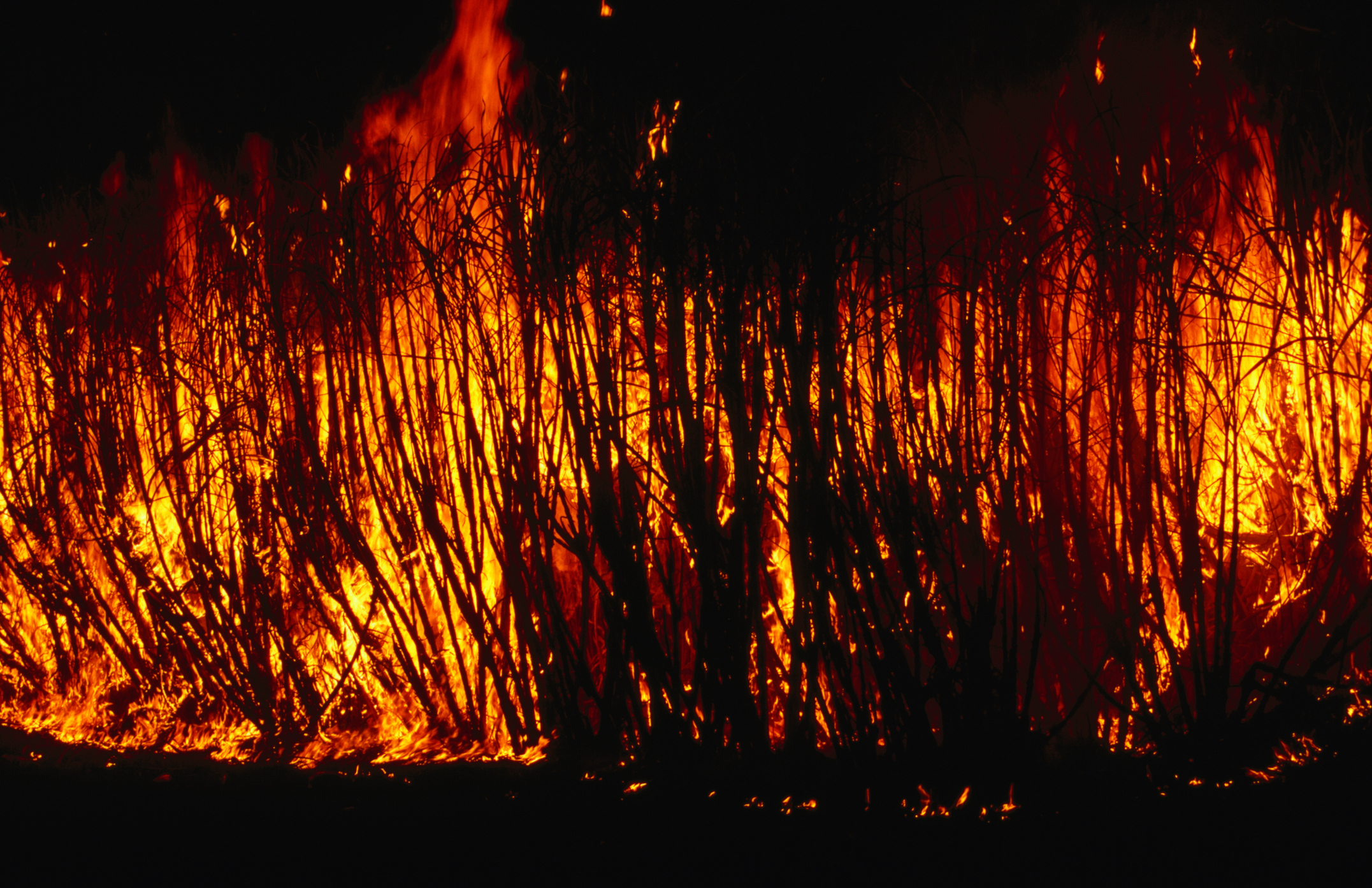Fire crews battle separate cane field blazes on northern Gold Coast