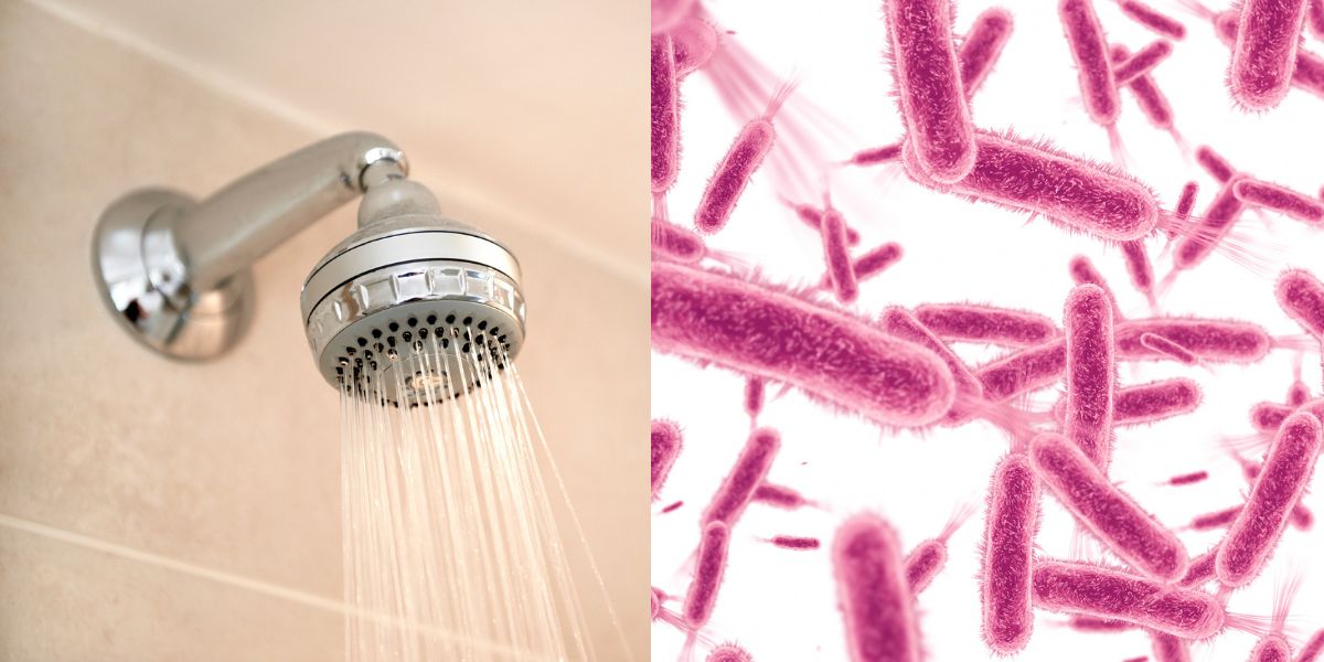 Doctor’s Warning: Why You Shouldn’t Ignore ‘Pink Slime’ in Your Shower