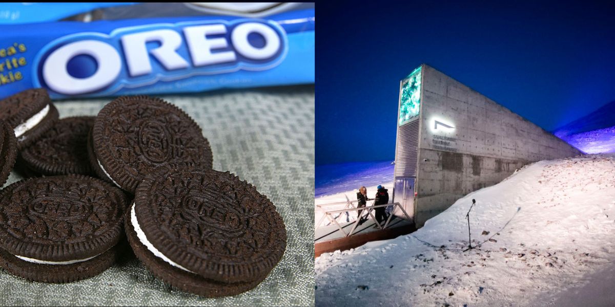 Oreo’s Now Included In Norwegian Doomsday Vault
