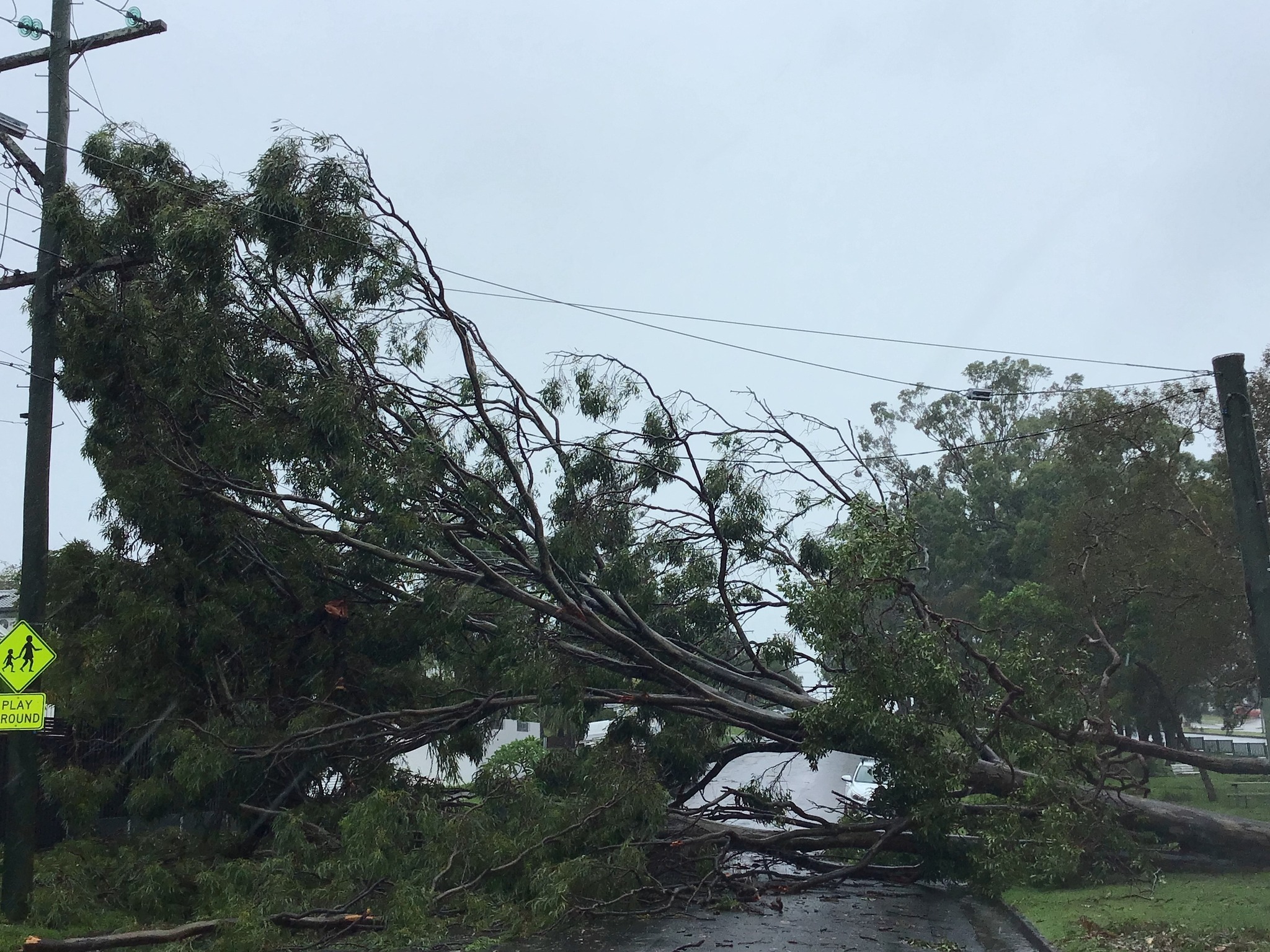LIVE UPDATES: Tropical Cyclone Alfred latest news and warnings