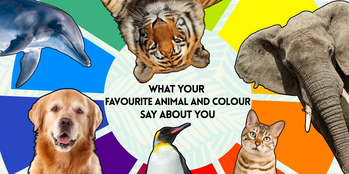 What Your Favourite Animal and Colour Say About You