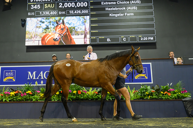 Colt by superstar sire Extreme Choice tops day 2 of Magic Millions ...